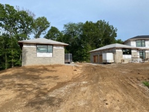 All American Modern - Modern - Portfolio - David Small Designs ...