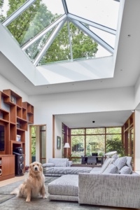 Modern Castle Portfolio - David Small Designs